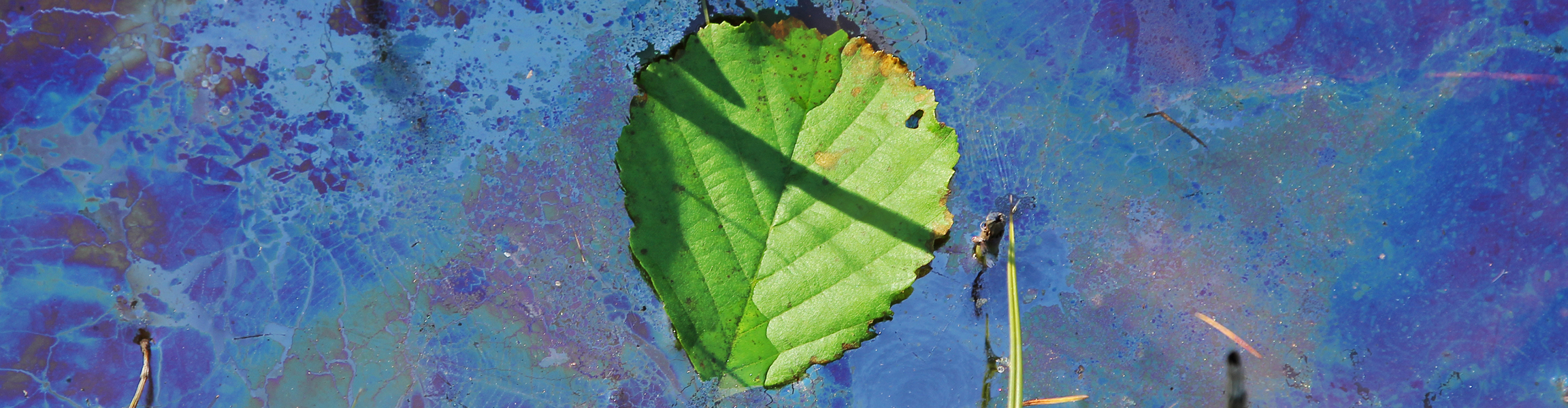 GeoEnvironmental Applications